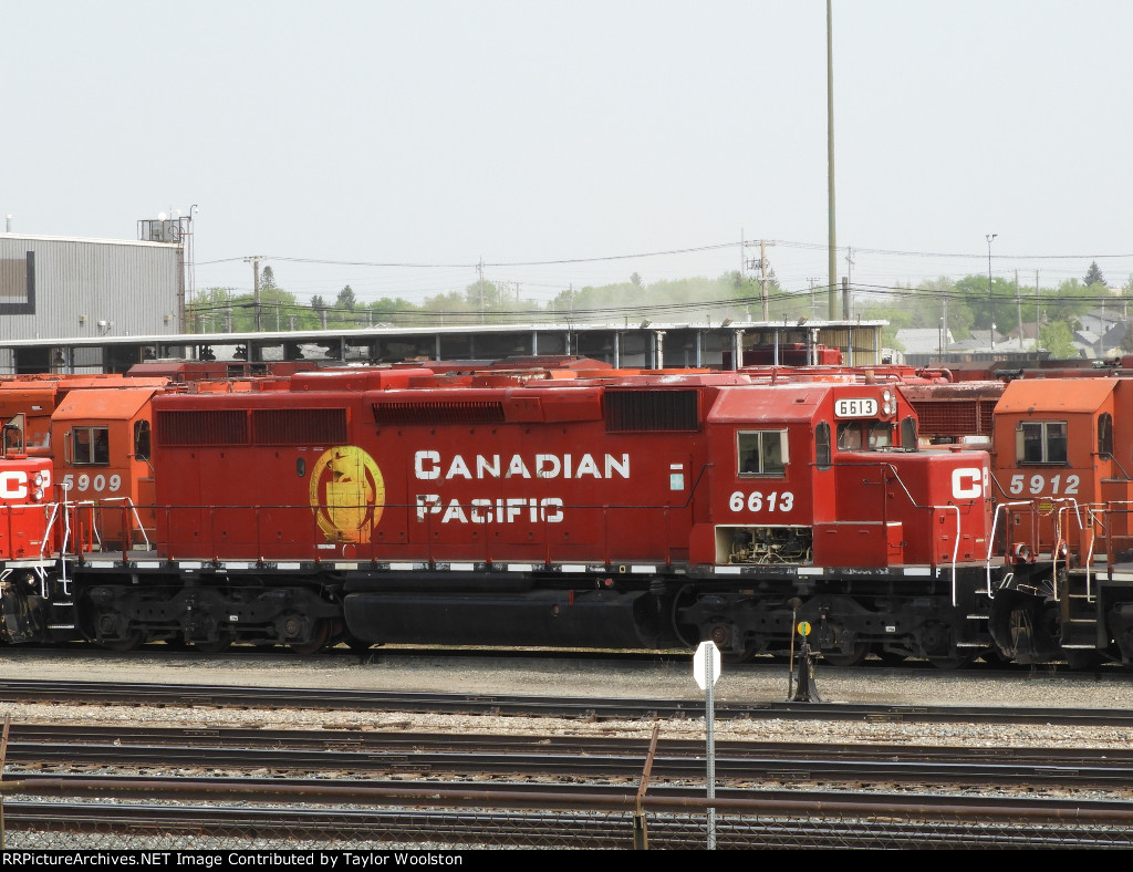 CP 6613